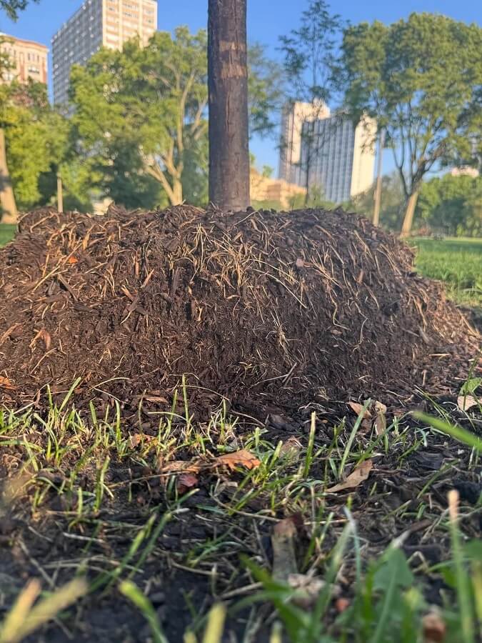 Concerned resident shares photo after spotting harmful landscaping ...