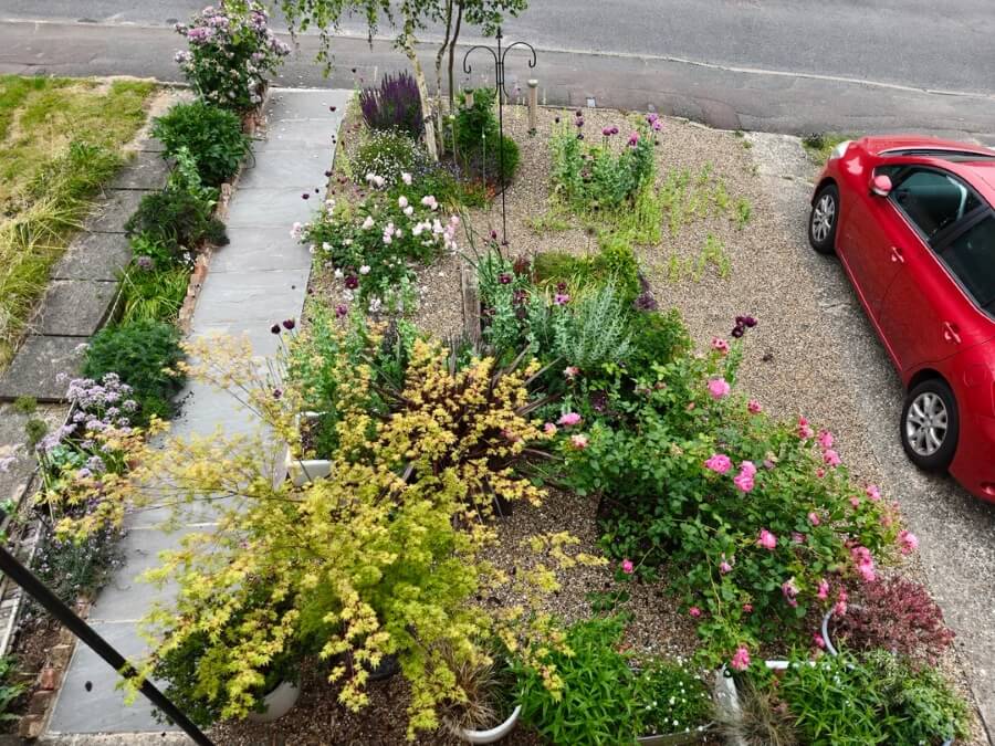 Proud homeowner shares breathtaking before-and-after photos of their ...