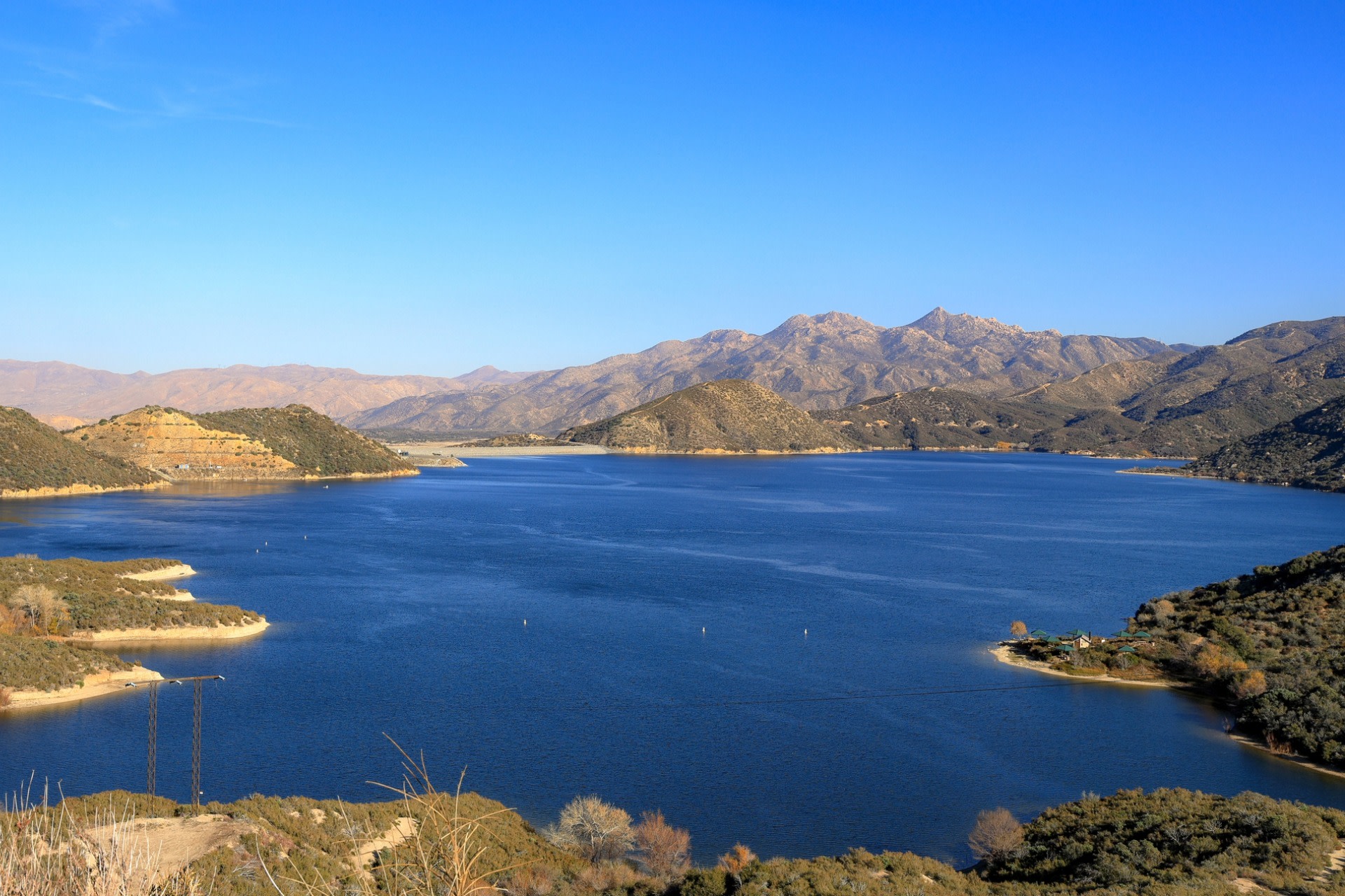 Officials issue warning as harmful creature is found spreading in US ...