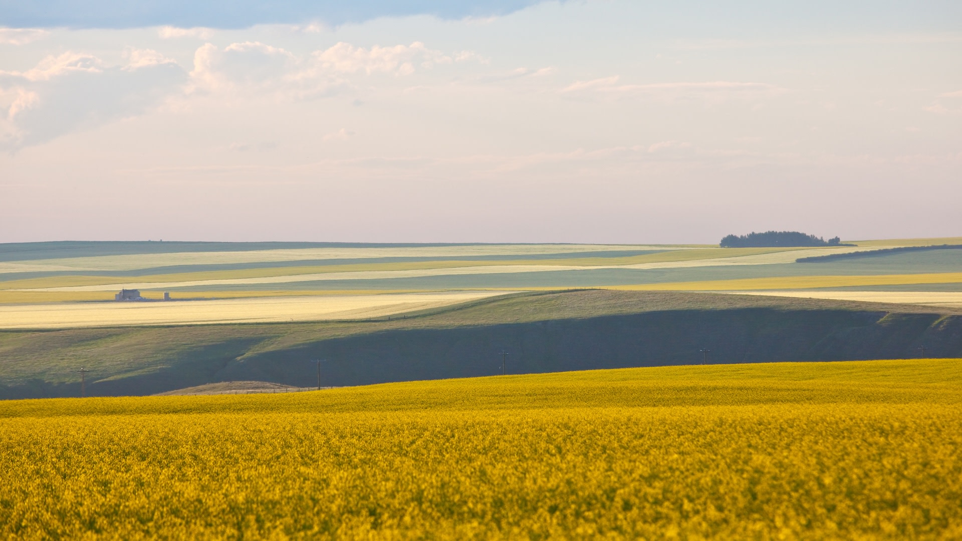 Satellite images reveal 'scar' left by colossal wind and hail storm ...