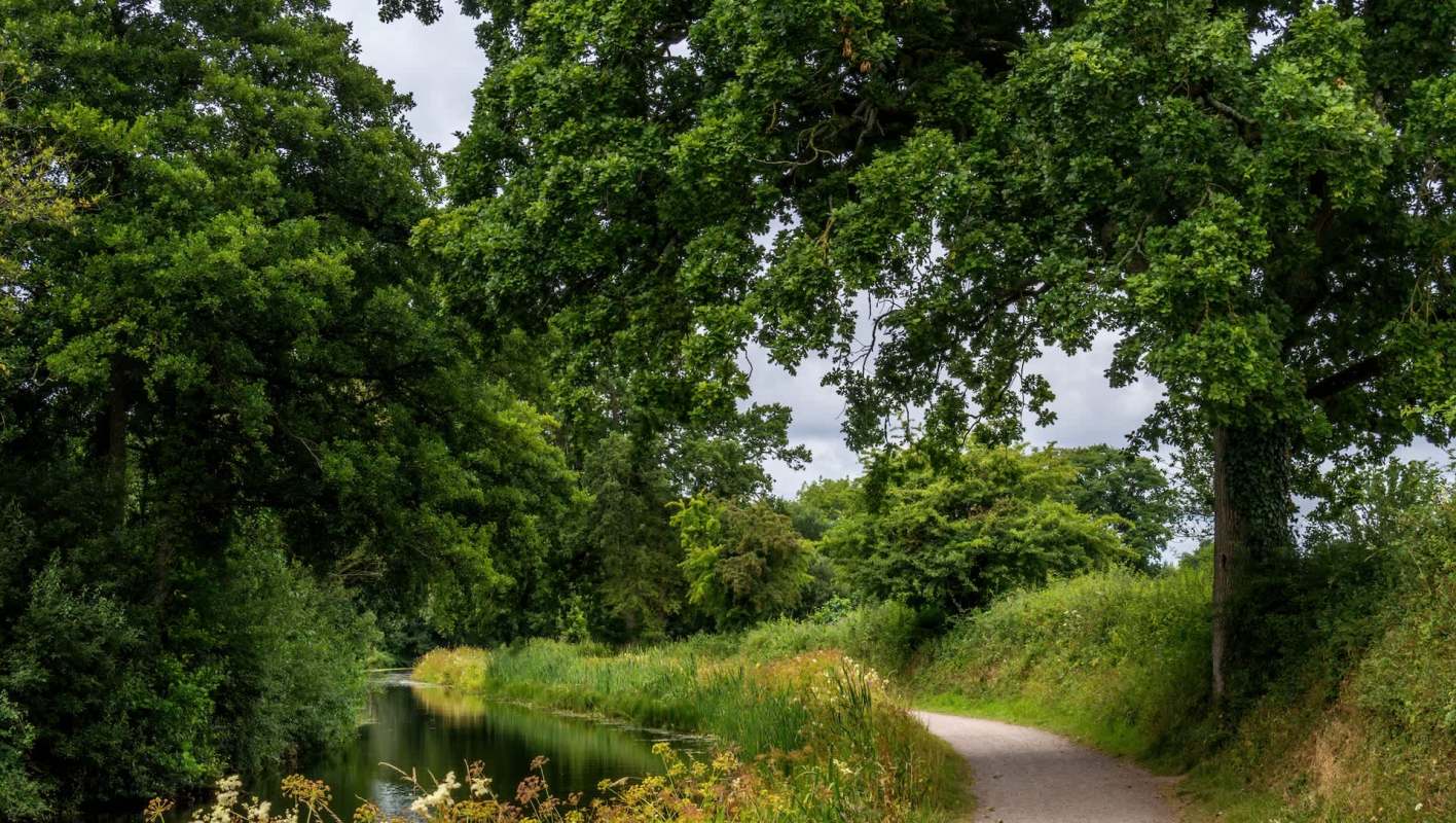 13-year-old best friends lead ambitious project to save threatened species: 'We are in the midst ...