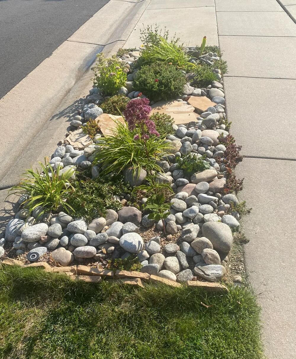 Homeowner vents frustrations after HOA issues ridiculous citation ...