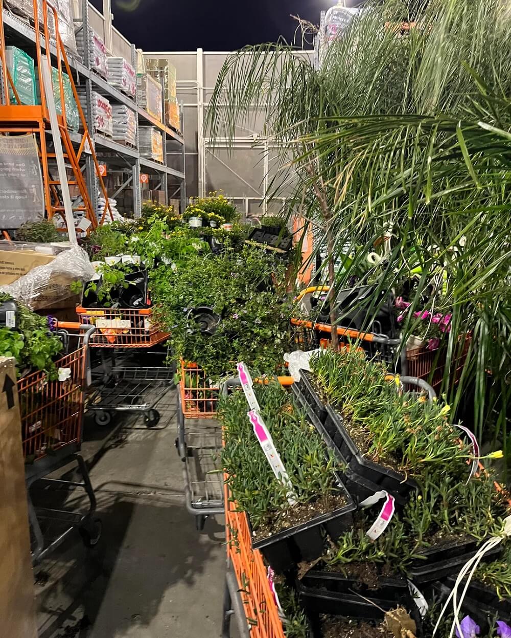 Shopper sparks outrage with photo of shocking scene at Home Depot: 'I ...