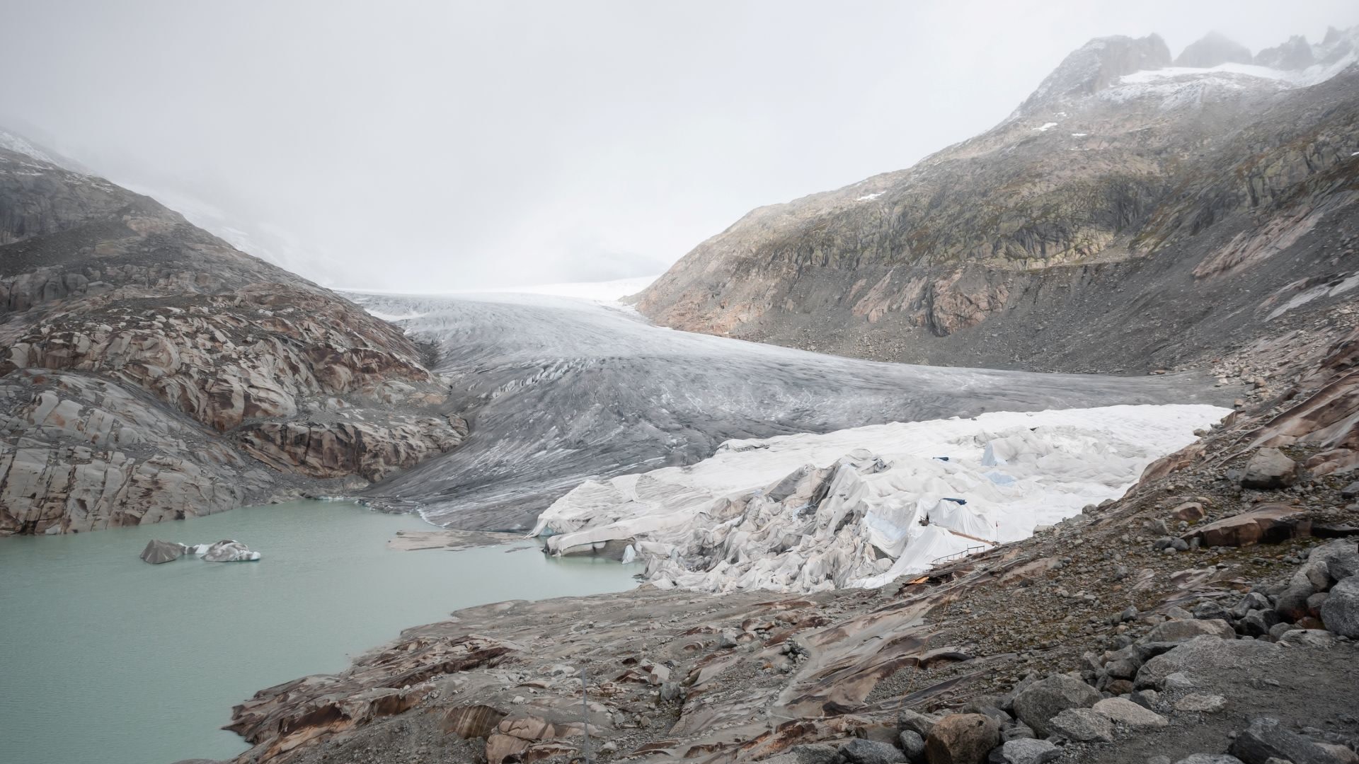 Researchers issue warning after discovering concerning phenomenon across Europe: 'This is what ...