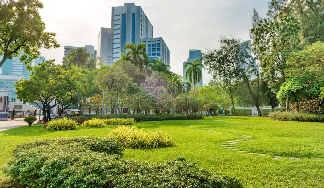 Residents forced to adapt as major city is overrun by giant lizards ...