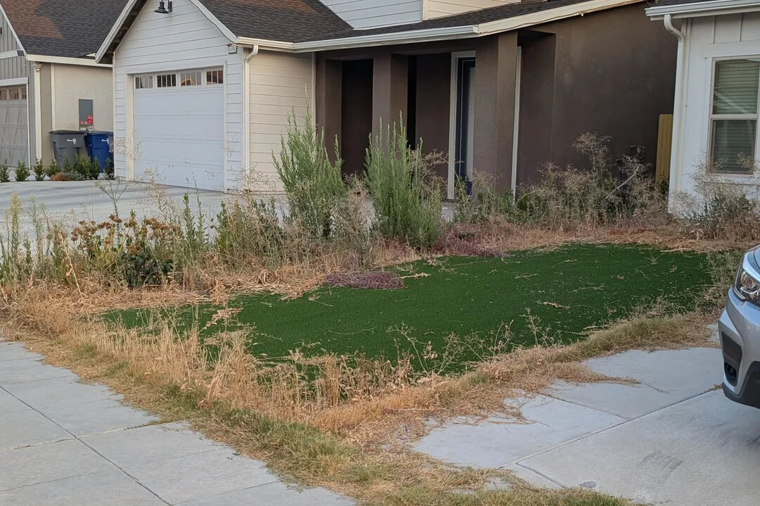 Homeowner sparks outrage after sharing image of neighbor's 'hideous ...