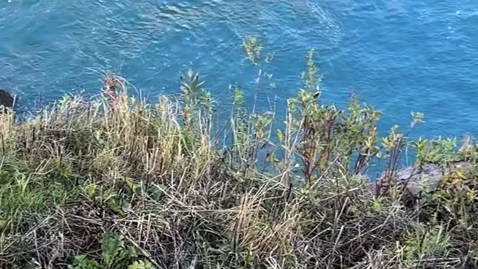 Frustrated hiker shares video of disturbing trend in nature areas ...