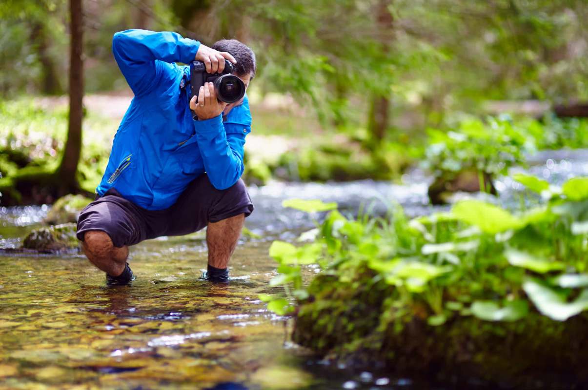 Photographer stunned after spotting insect with incredibly rare ...