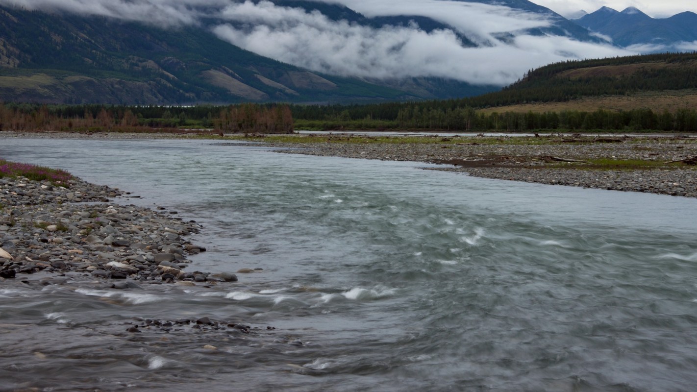 Passerby shares photo after spotting concerning item that was recently ...