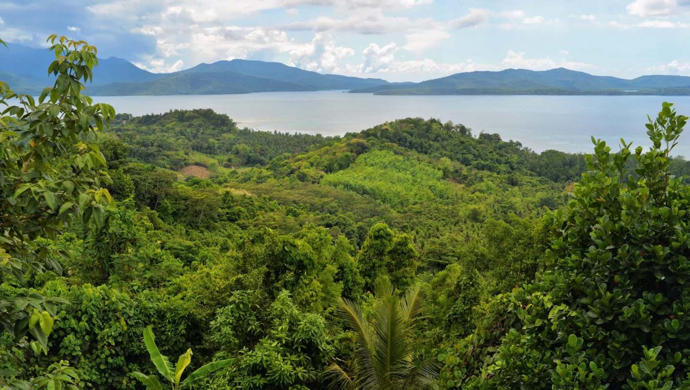 Couple leaves city life to start off-grid homestead: 'It was actually quite therapeutic'