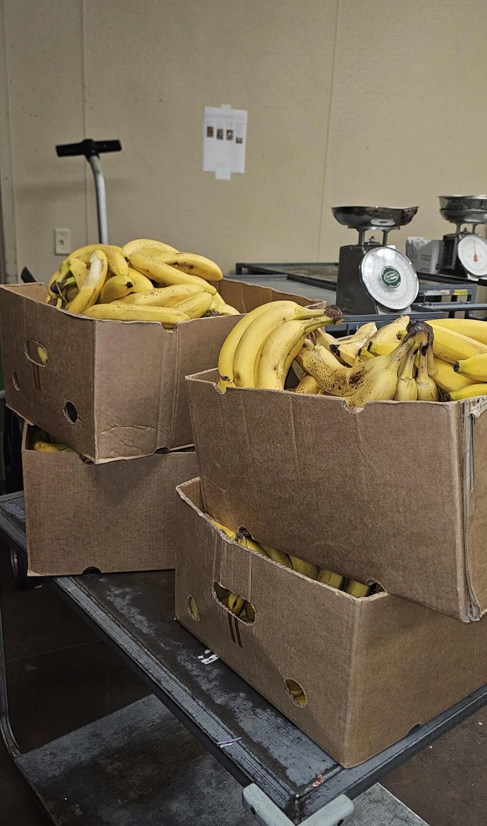 Walmart employee sparks outrage online after sharing alarming photo ...