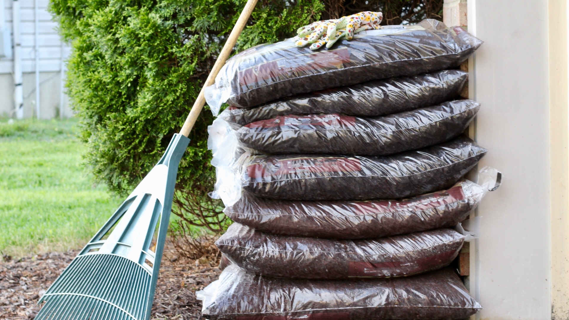 Experts issue urgent warning against common yard maintenance practice ...