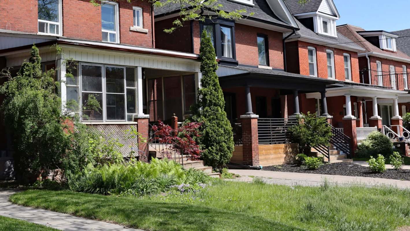 Gardener shares stunning before-and-after footage of 4-year yard ...