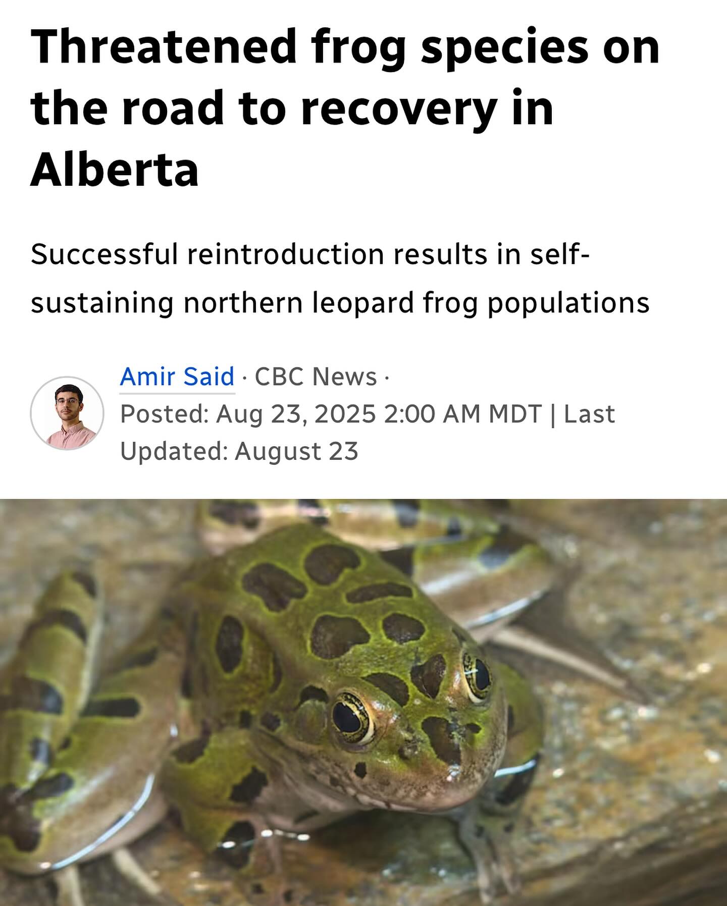 Experts celebrate recovery of unique creature from brink of extinction ...