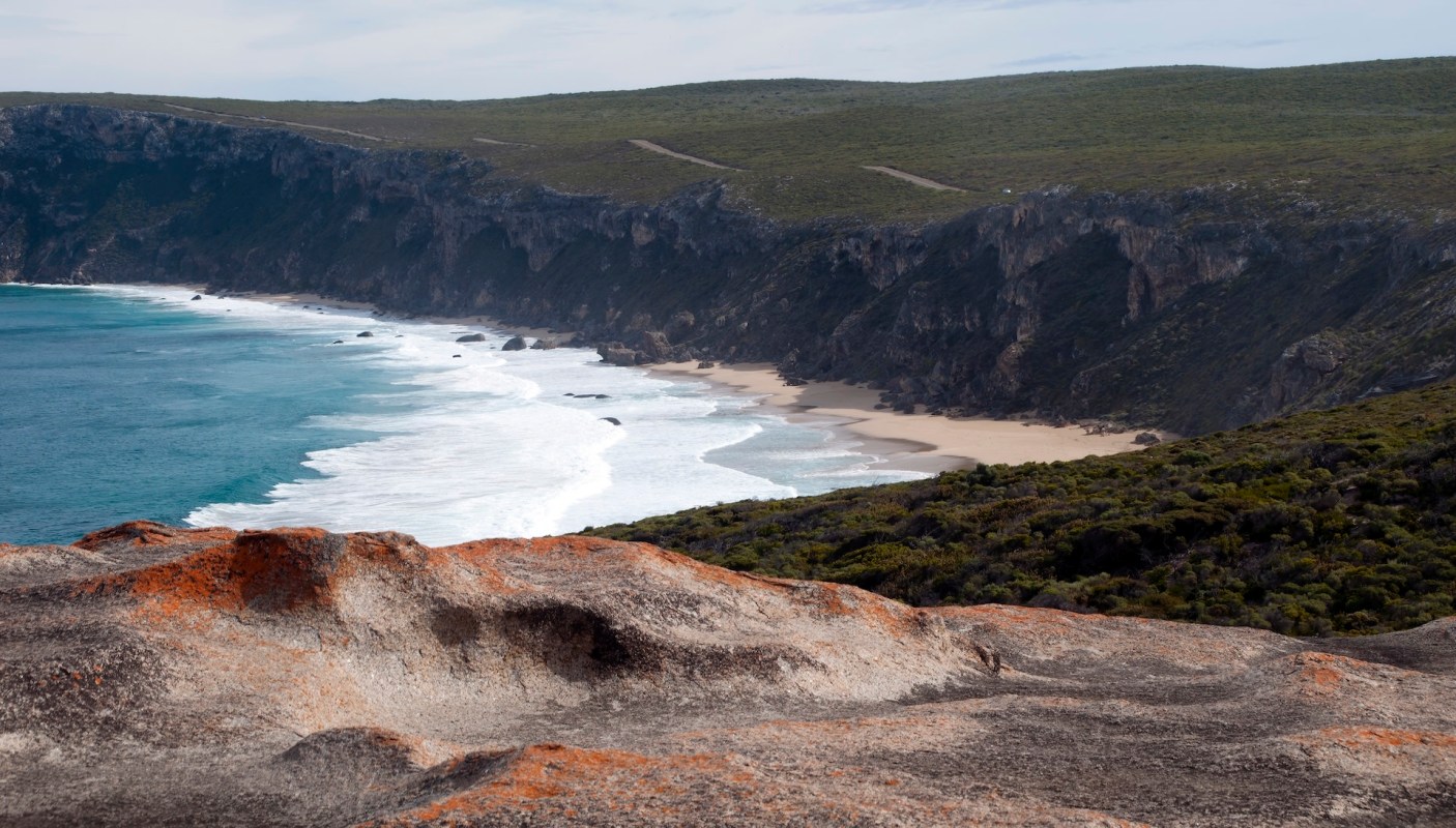 Researchers stunned after finding rare creatures in unexpected location ...