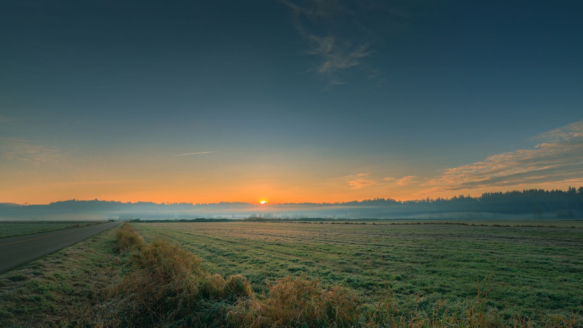 Volunteers team up to battle aggressive menace at beloved nature area ...