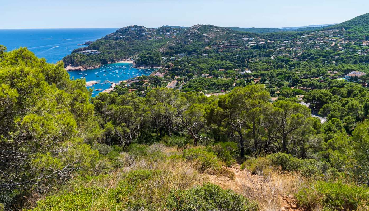 Scientists make stunning discovery that upends long-held belief about iconic sea: 'Being replaced'