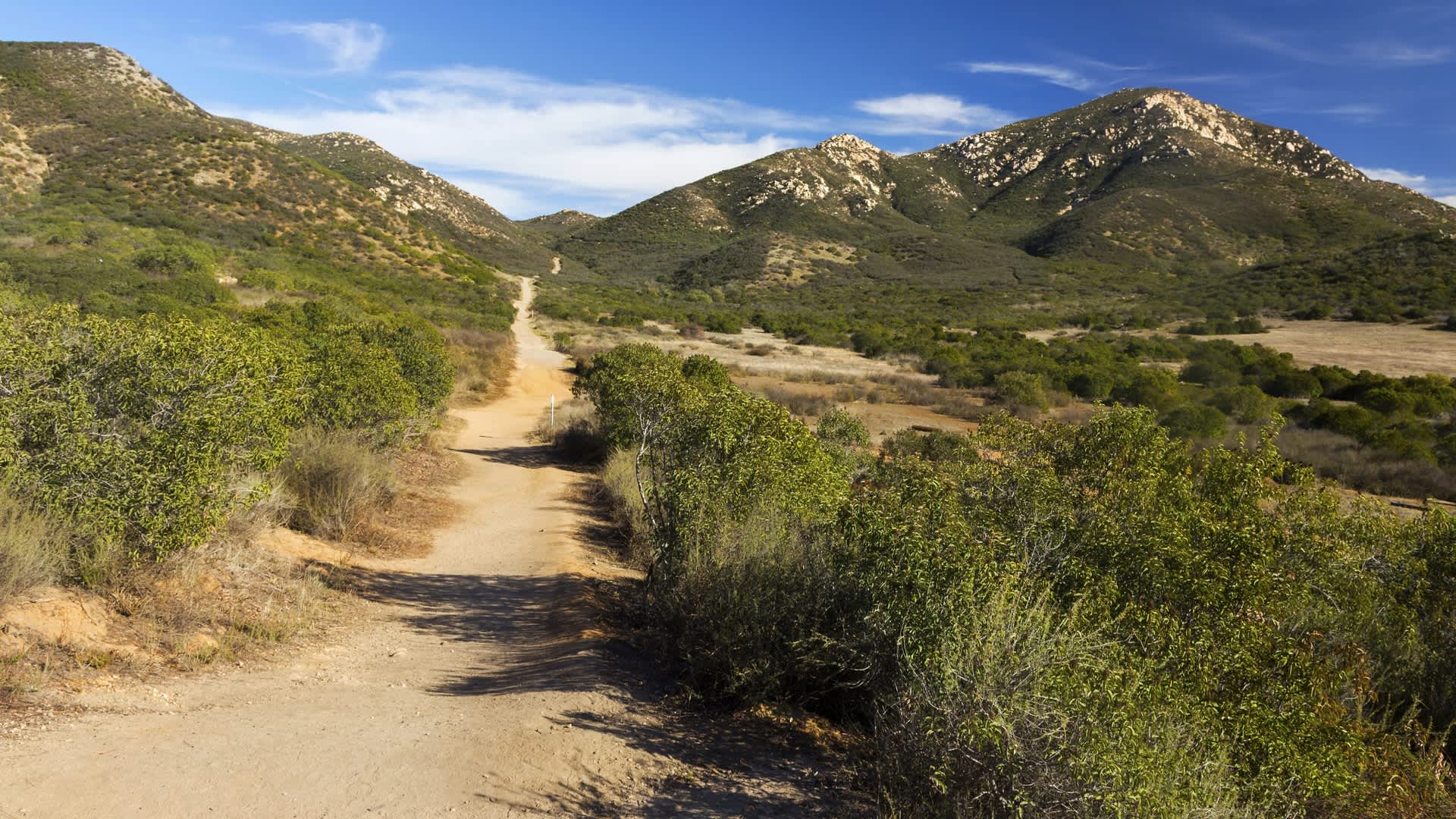 Officials launch major project that could save lives in wildfires: 'A ...