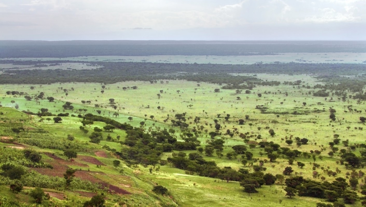 Officials issue warning over aggressive growth in national park ...