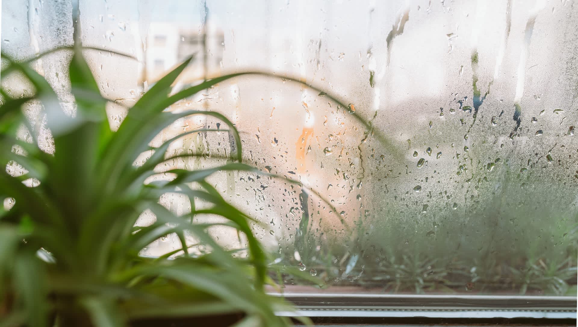 Engineers build incredible machines that can pull water from thin air ...