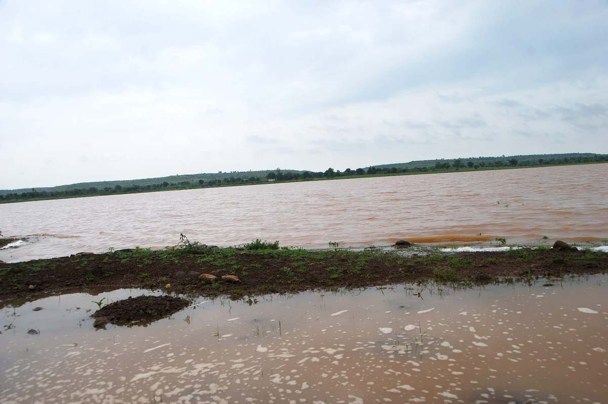 Farmers devastated as extreme storms destroy key crops — here's what's ...
