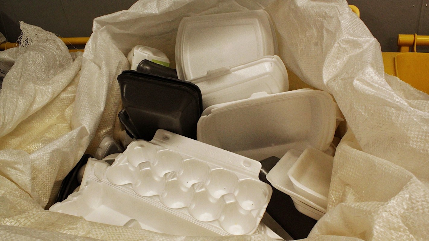 Experts make groundbreaking discovery that could revolutionize what ...