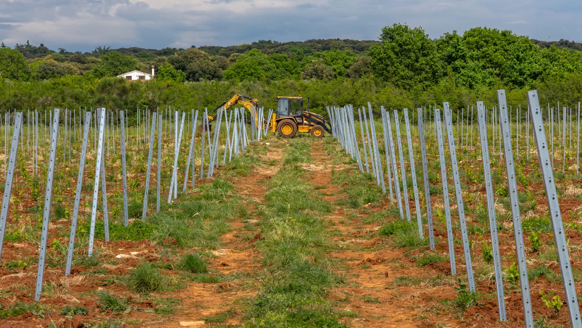 Officials give greenlight to innovative project set to transform how farmland is used: 'We can ...