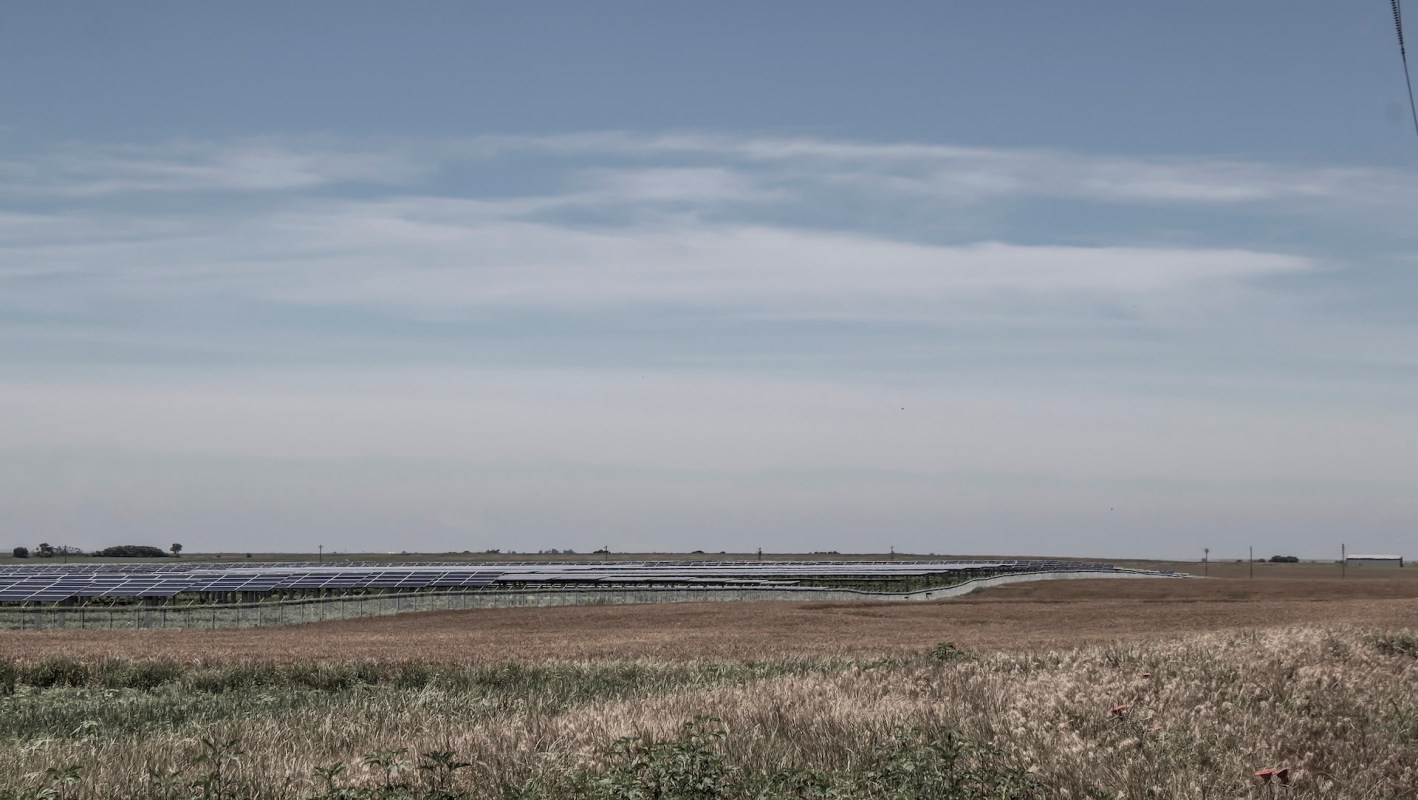 Experts issue warning after observing concerning vulture behavior in US ...