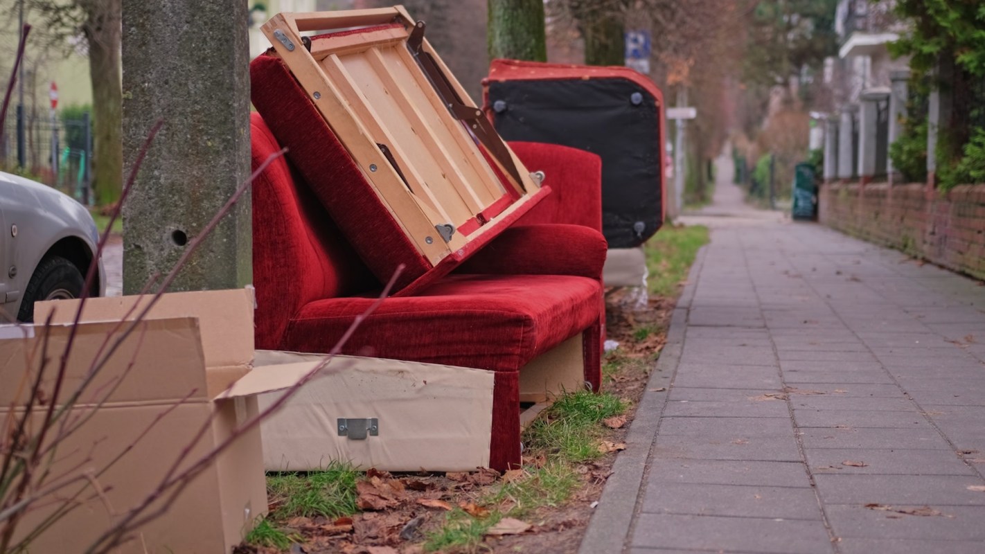 Passerby stunned after finding high-quality items for free on curb ...