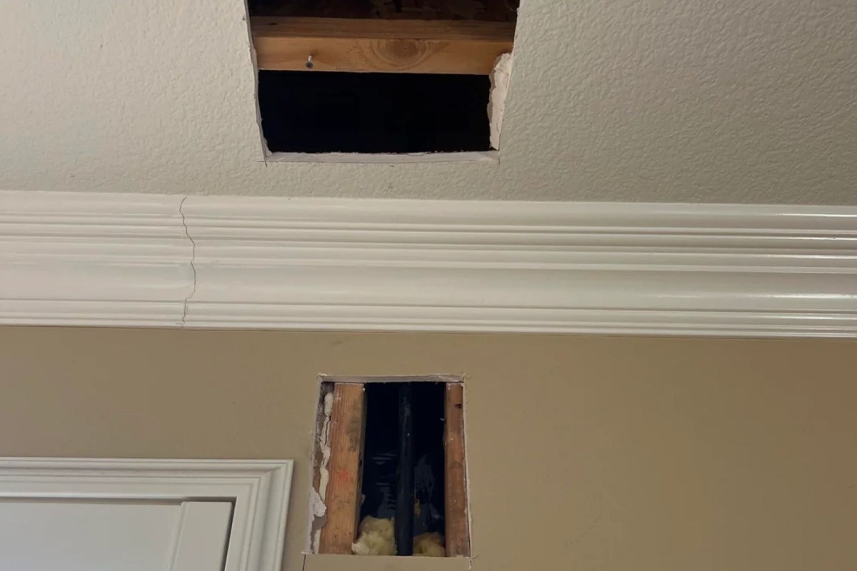 Homeowner shares 'terrifying' images after discovering hazard buried in ...