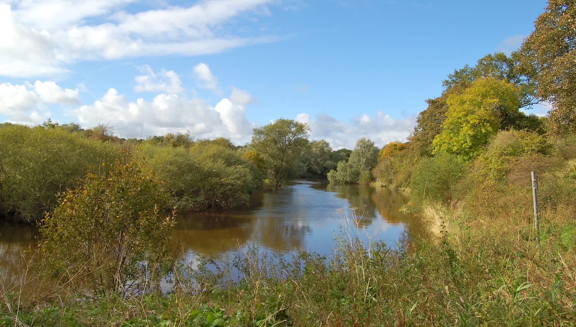 Experts stunned after spotting striking creatures in new location: 'The ...