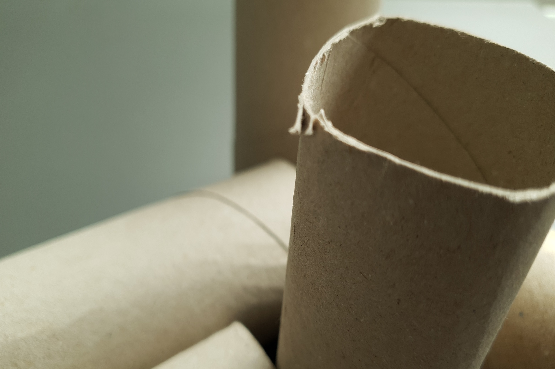 Pet owner shares brilliant tip using old toilet paper rolls: 'Love this'