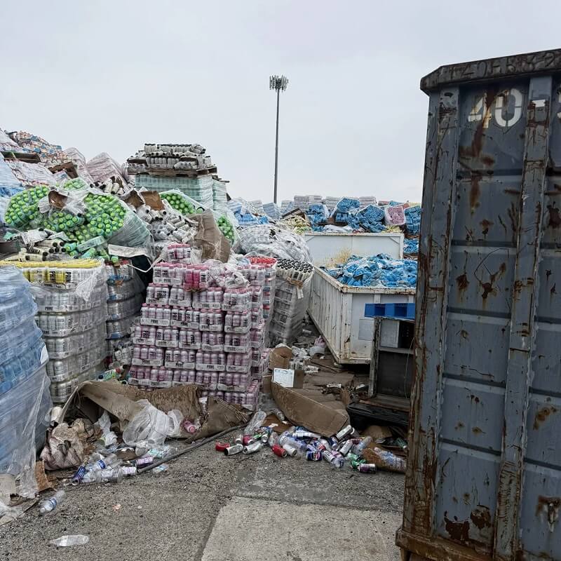 Internet erupts over photo of Logan Paul's major publicity mistake: 'A ...