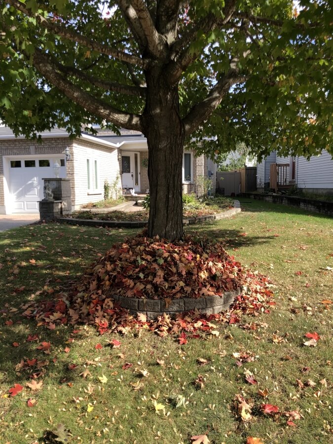 Resident shares photo after spotting unexpected landscaping situation ...