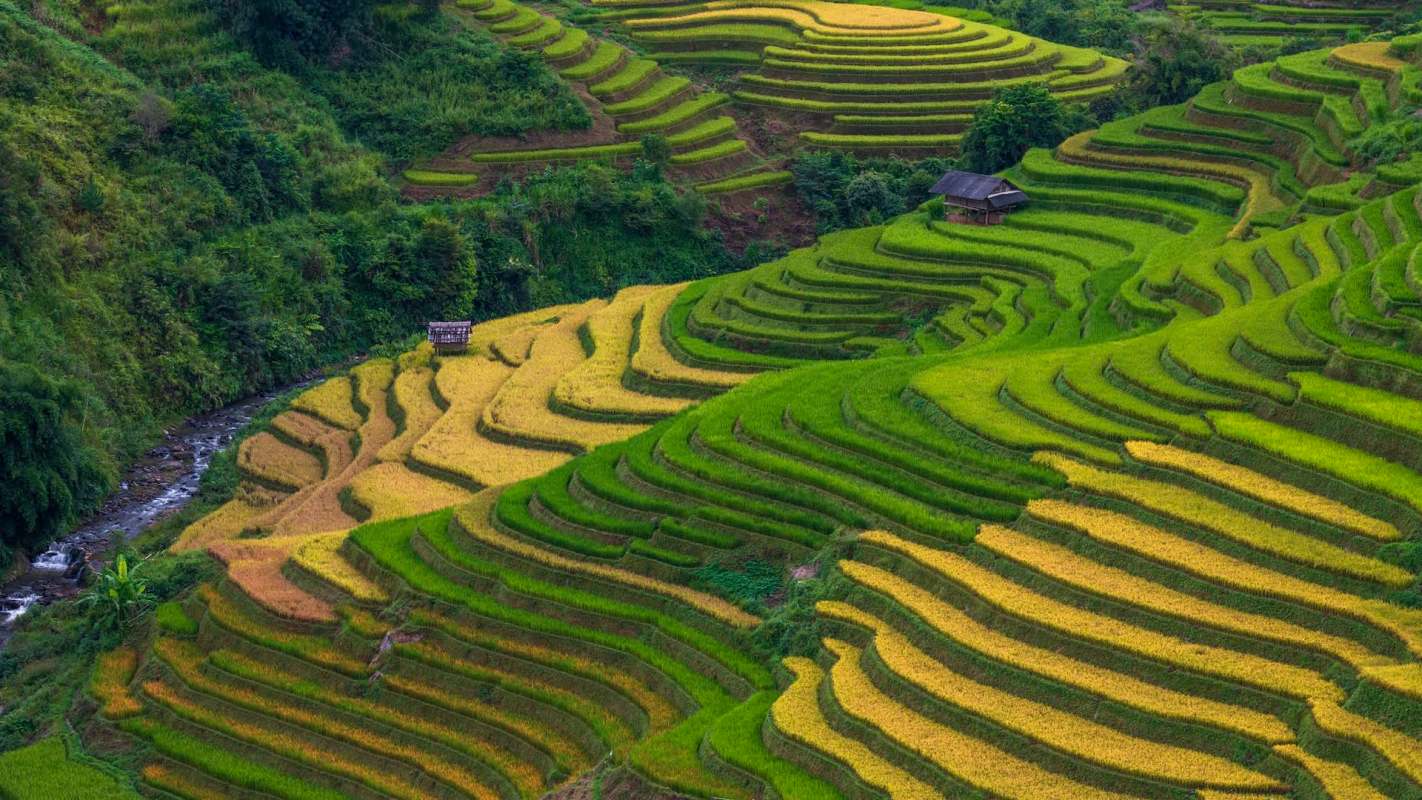 Officials sound alarm over 'unforeseeable' shortage in major food ...