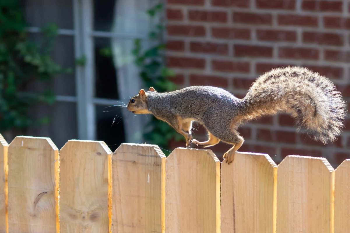 Homeowner faces moral dilemma after making concerning discovery on ...