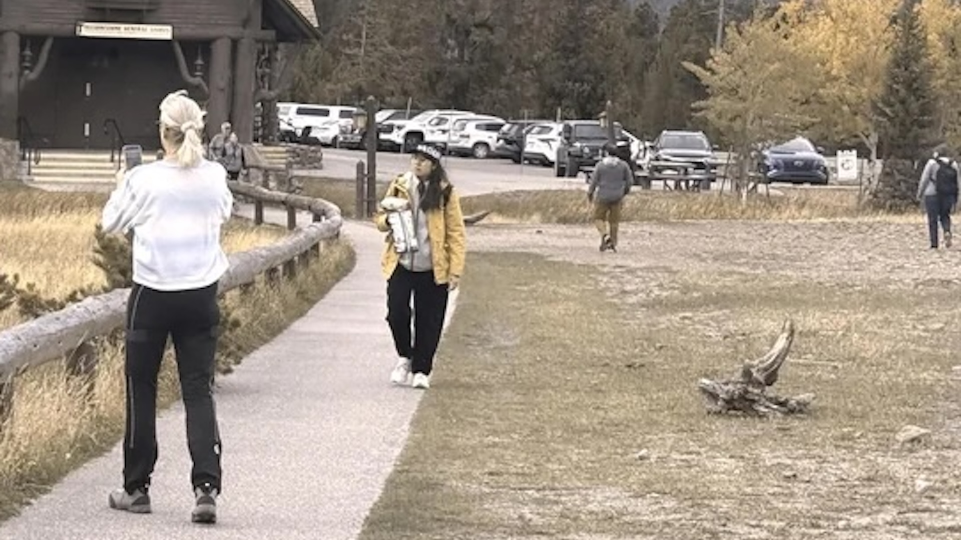 Onlooker captures images of tourist's dangerous actions near massive ...