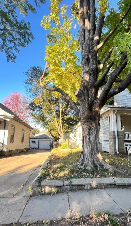 Homeowner shocked after returning from vacation to find neighbor's ...