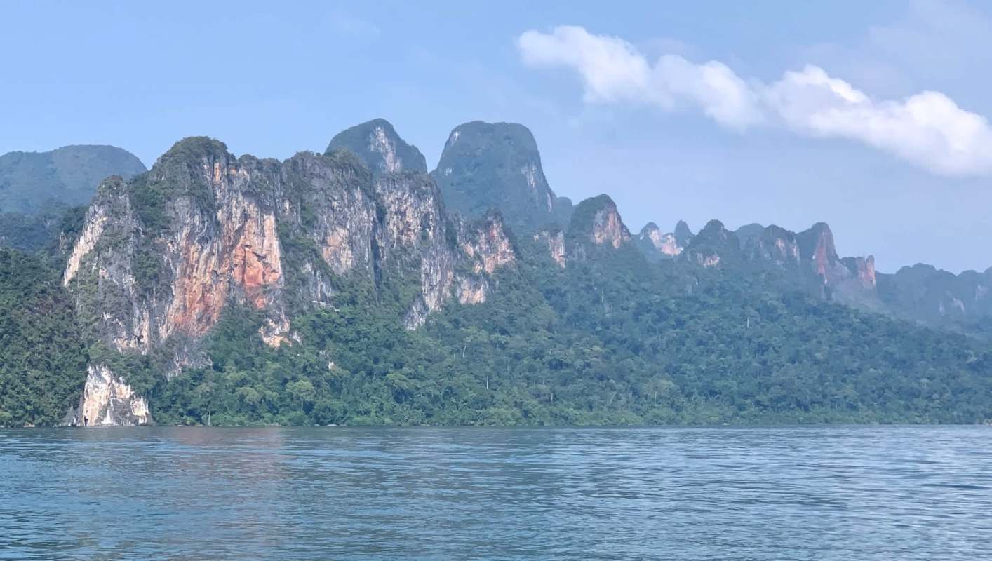 Fisherman captures stunning video as elusive creature emerges from ...