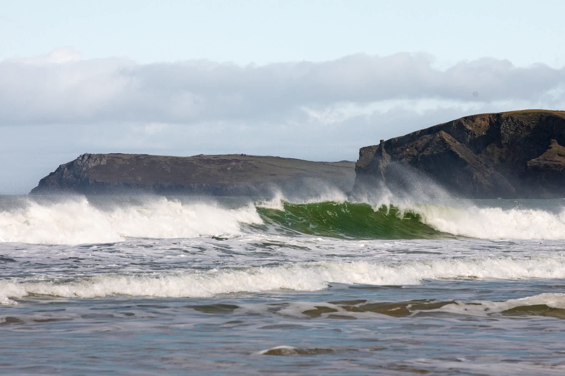 Diver captures stunning video of prehistoric fish emerging from depths ...