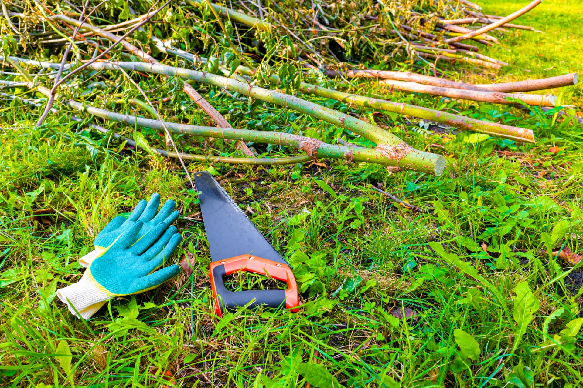 Homeowner slams HOA's treatment of elderly neighbor who violated rules ...