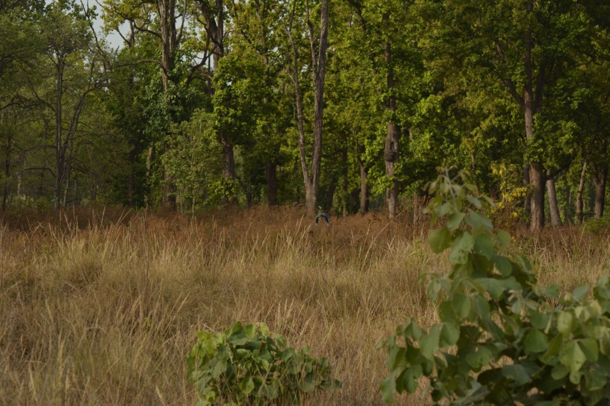 Officials make shocking discovery during raid on smuggling network: 'A ...