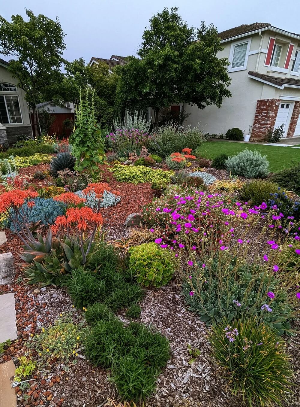 Neighbor double-takes after spotting unconventional front yard during ...