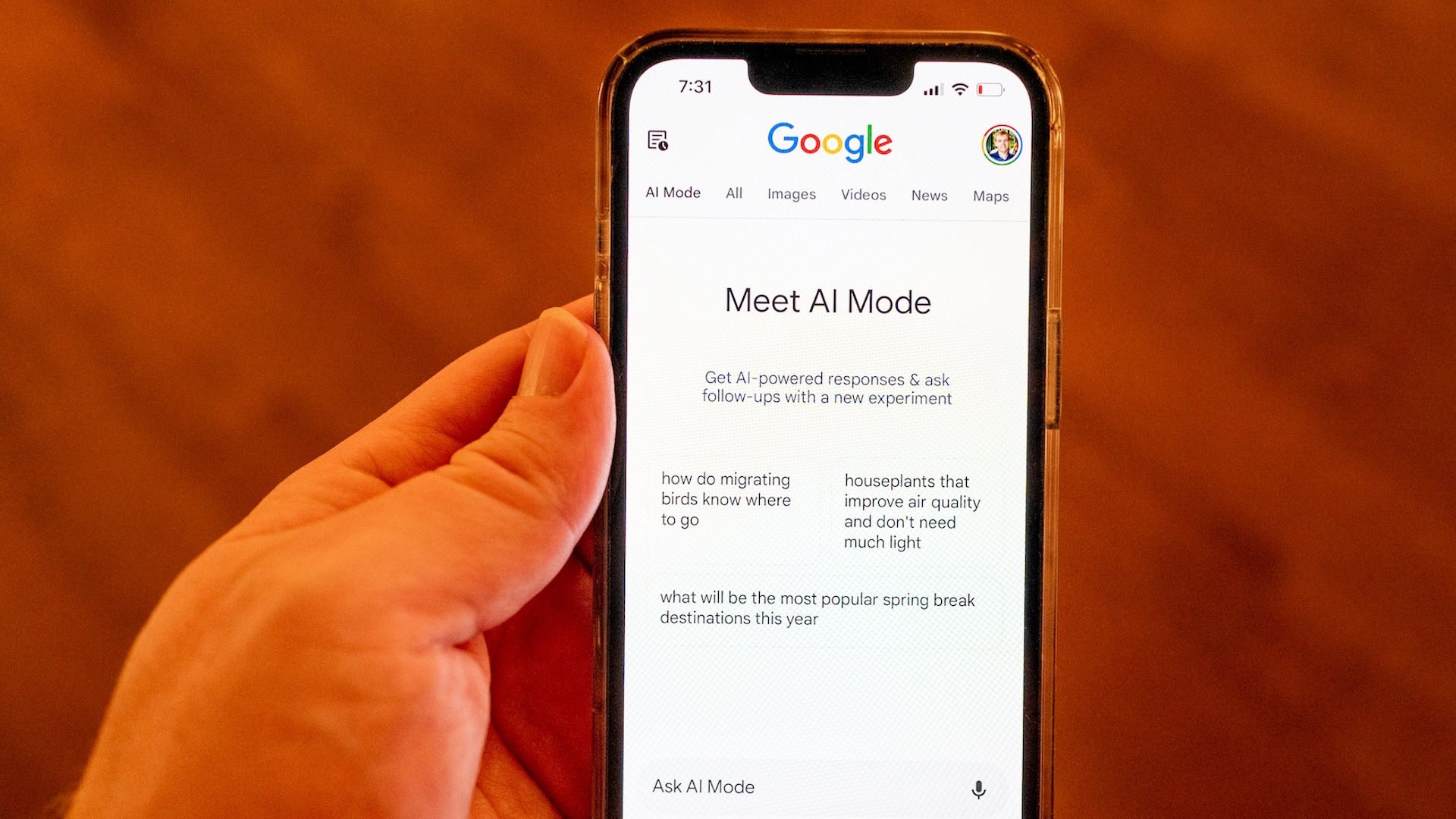 Google users are furious after company replaces dictionary with useless ...