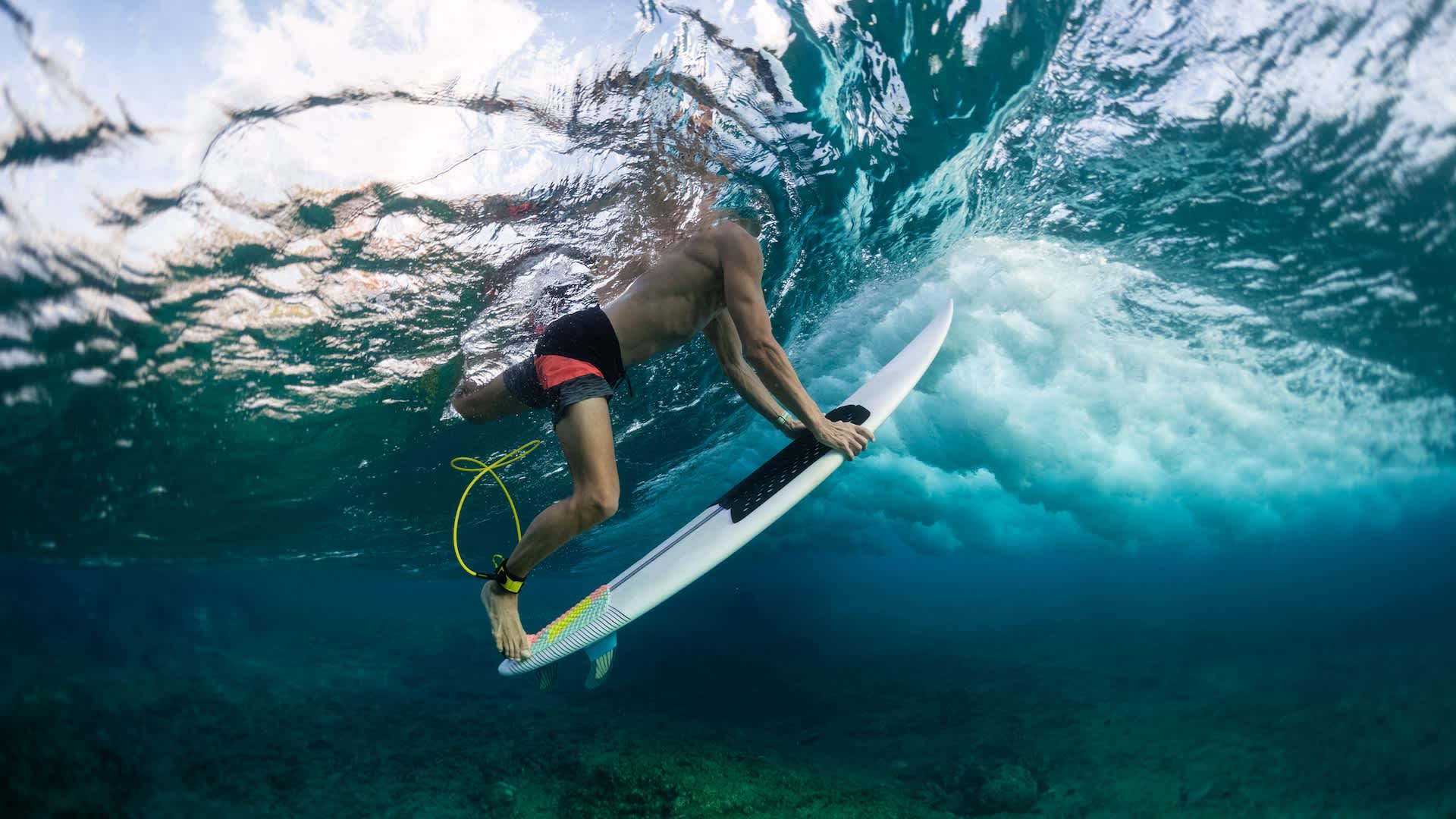 Surf competition halted after 'code red' wildlife attack injures ...