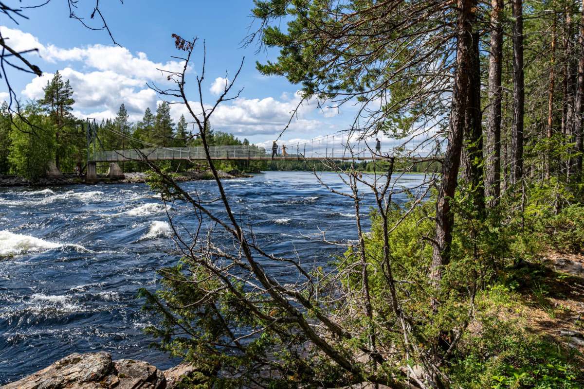 For the first time in decades, a once-blocked river runs free as Europe ...