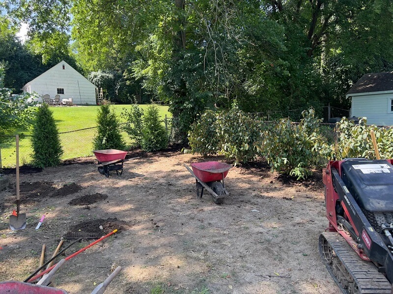 Jaw-dropping before-and-after photos show backyard turn into 'urban ...