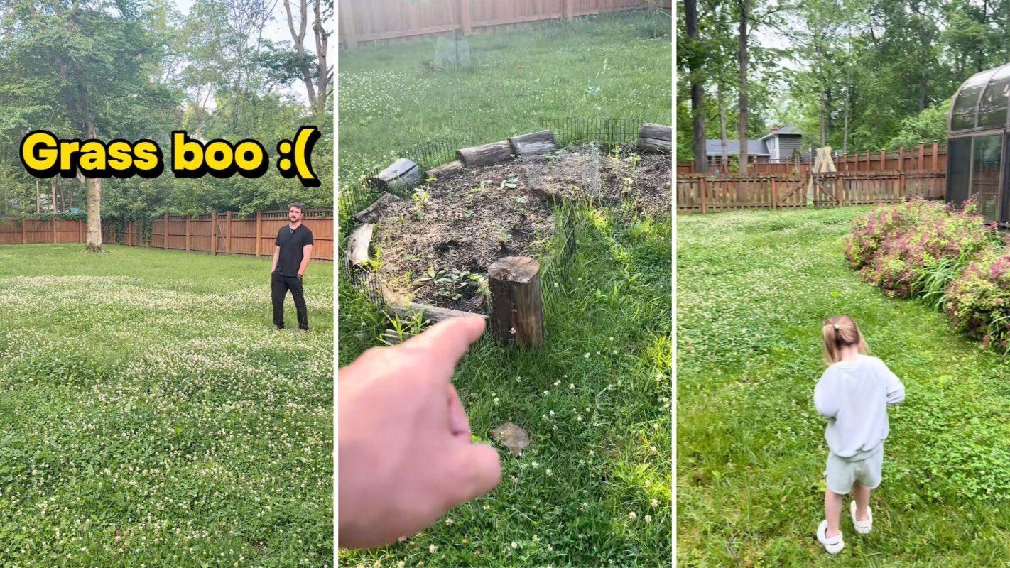 Dad's accidental no-mow experiment fills suburban yard with bees