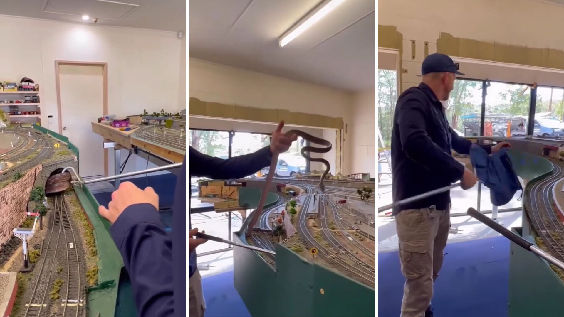 Venomous brown tree snake turns a Queensland home's model train tunnel ...