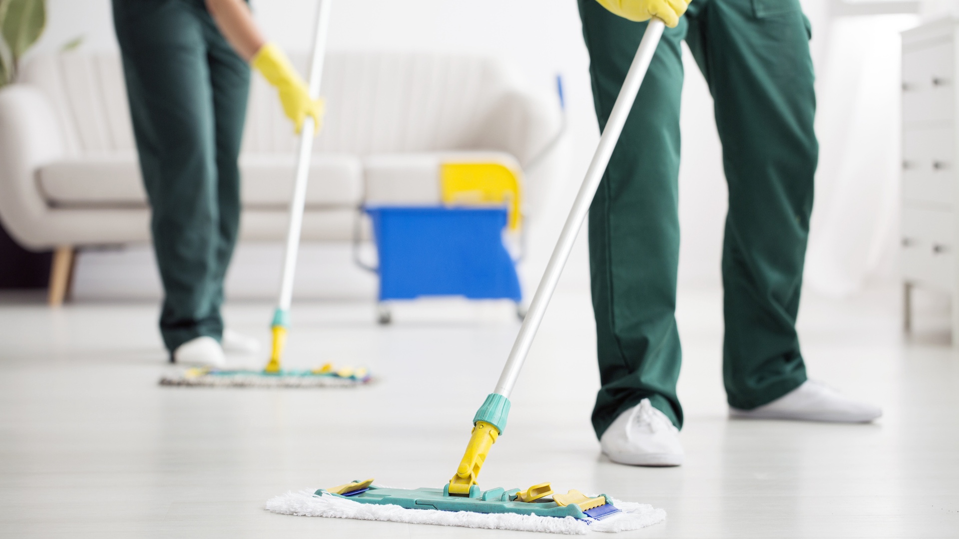 Company's offer to clean your apartment for free met with major skepticism